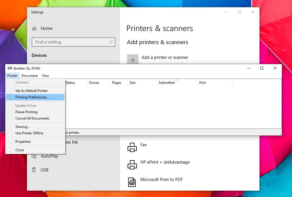 Configure Brother QL-810W Printer Settings for Windows